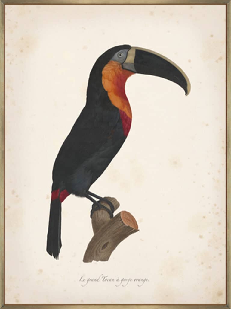 Le Grand Tocan - Canvas - La Grolla