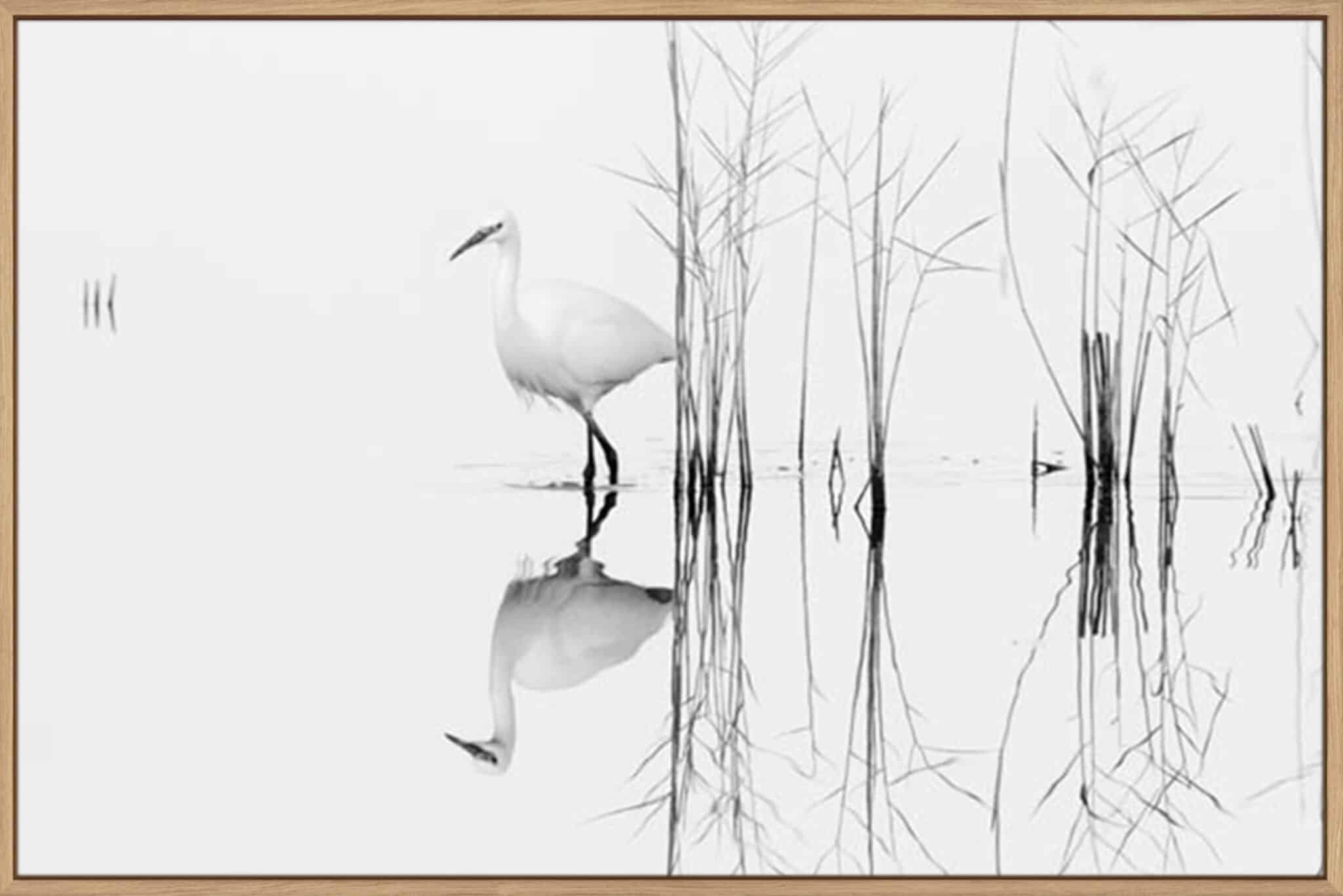 Planinski – White - Canvas - La Grolla