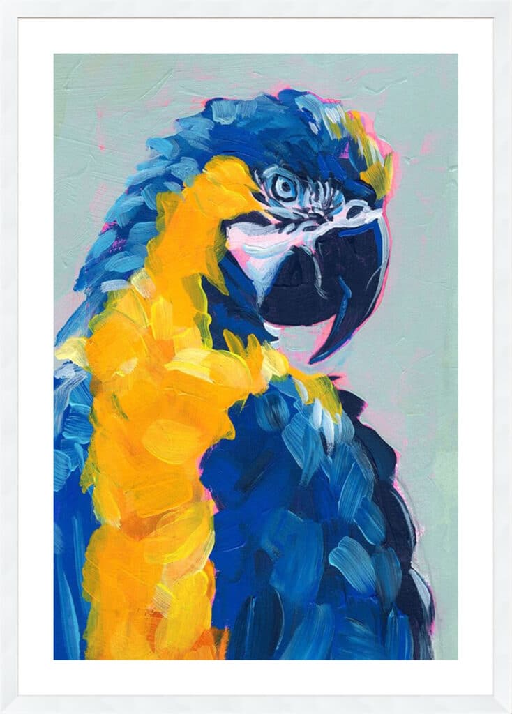 Pop Art Parrot II - 5cm White Border - La Grolla