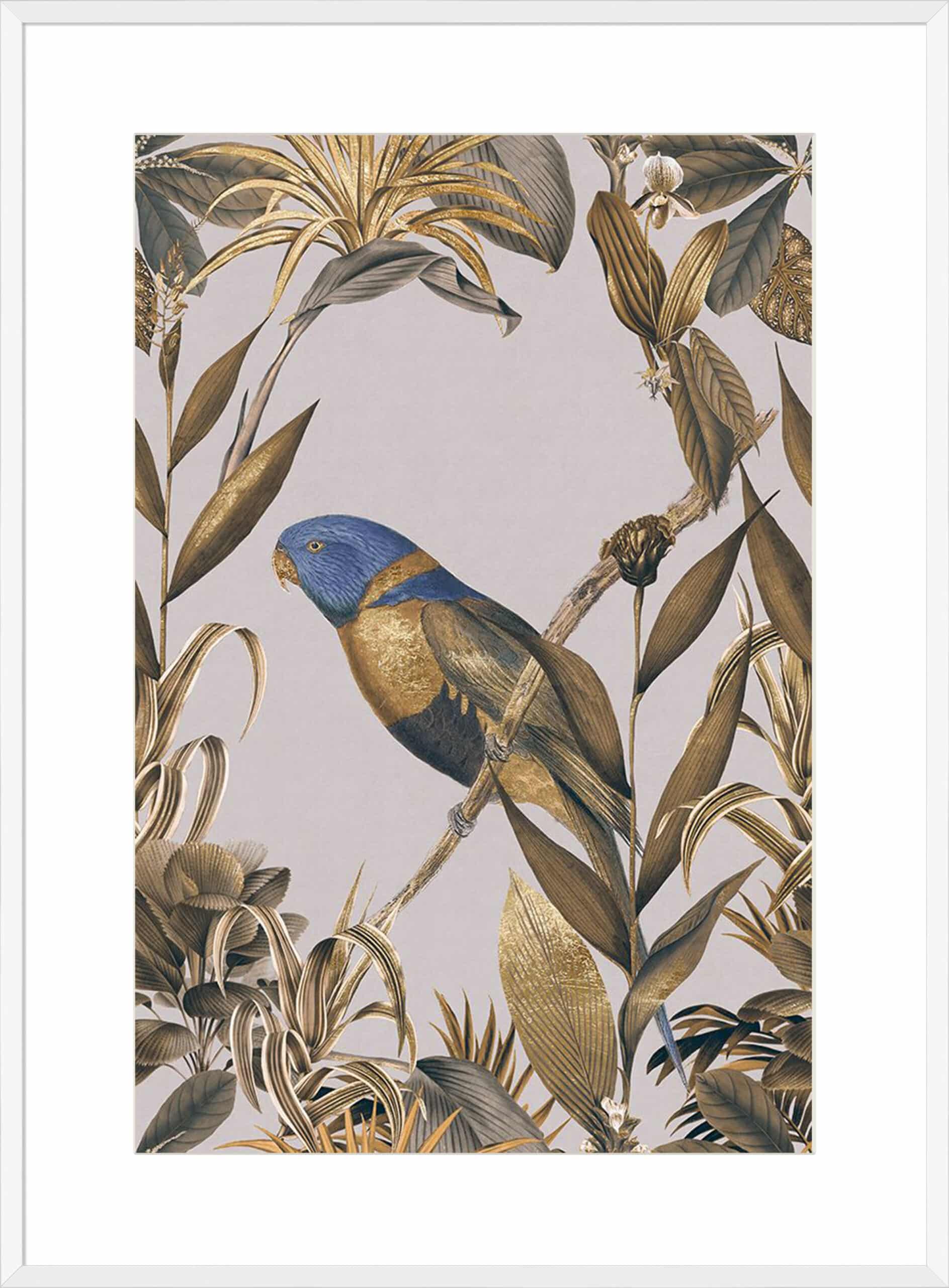 Golden Parakeets - Paradise - 10cm Mount Board - La Grolla
