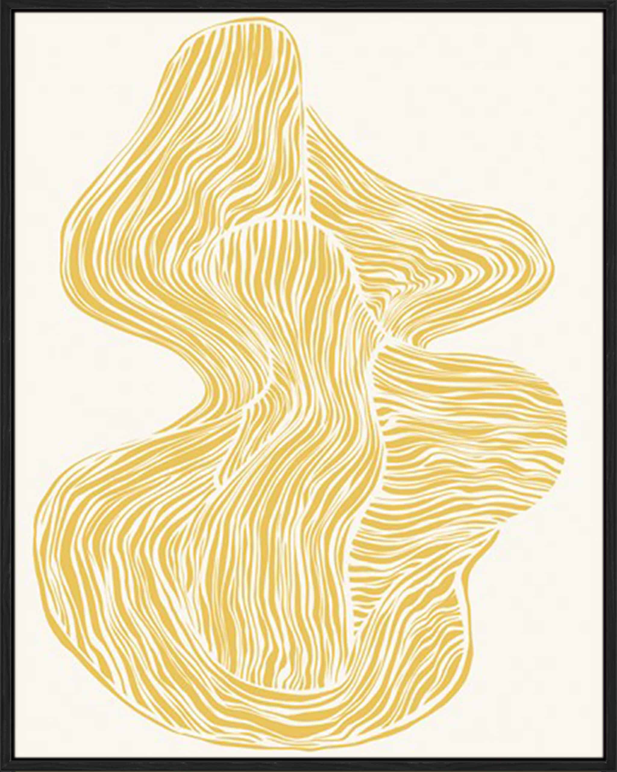 Marigold Markings II - Canvas - La Grolla