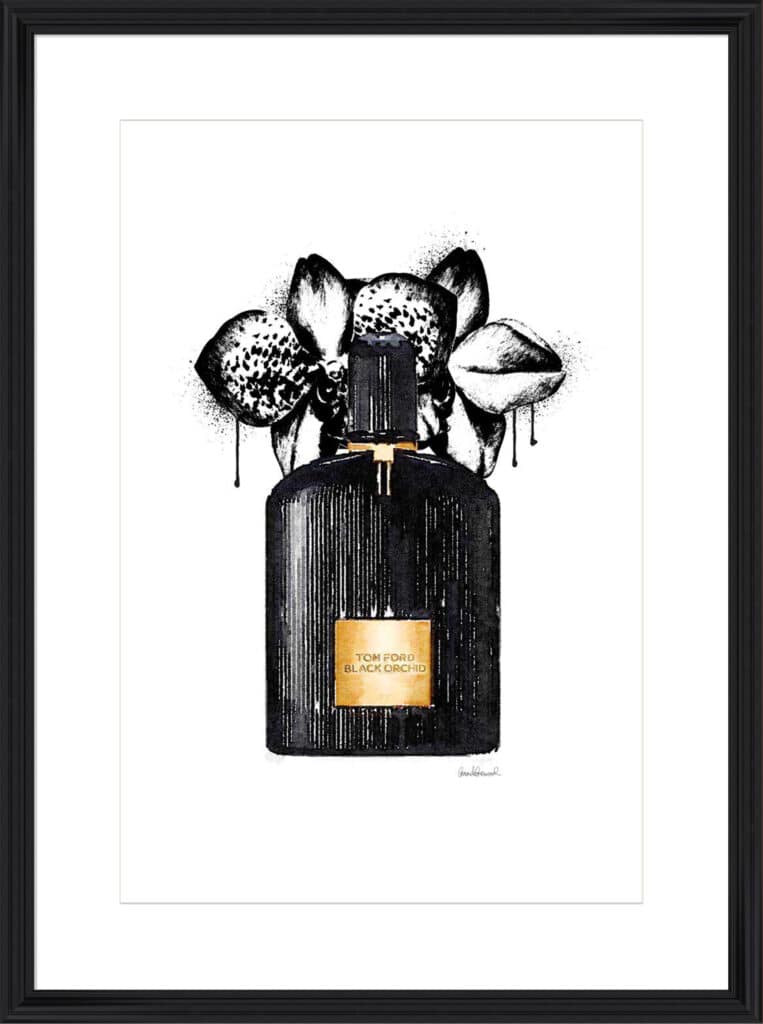Noir Perfume Orchid - 10cm Mount Board - La Grolla