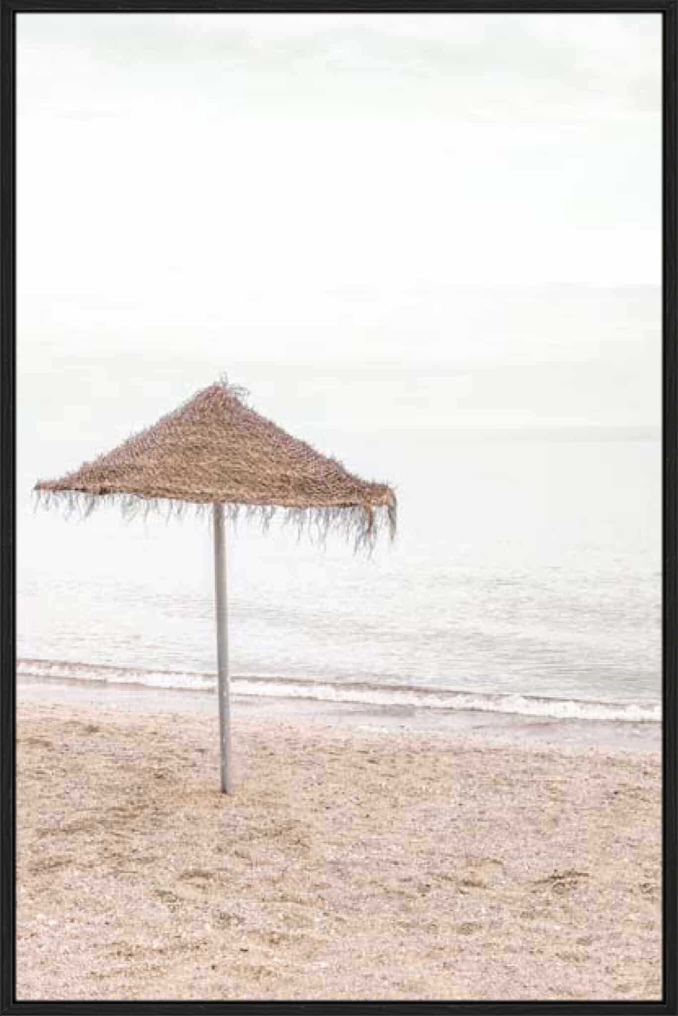 Studio III – Solaris 06 - Canvas - La Grolla