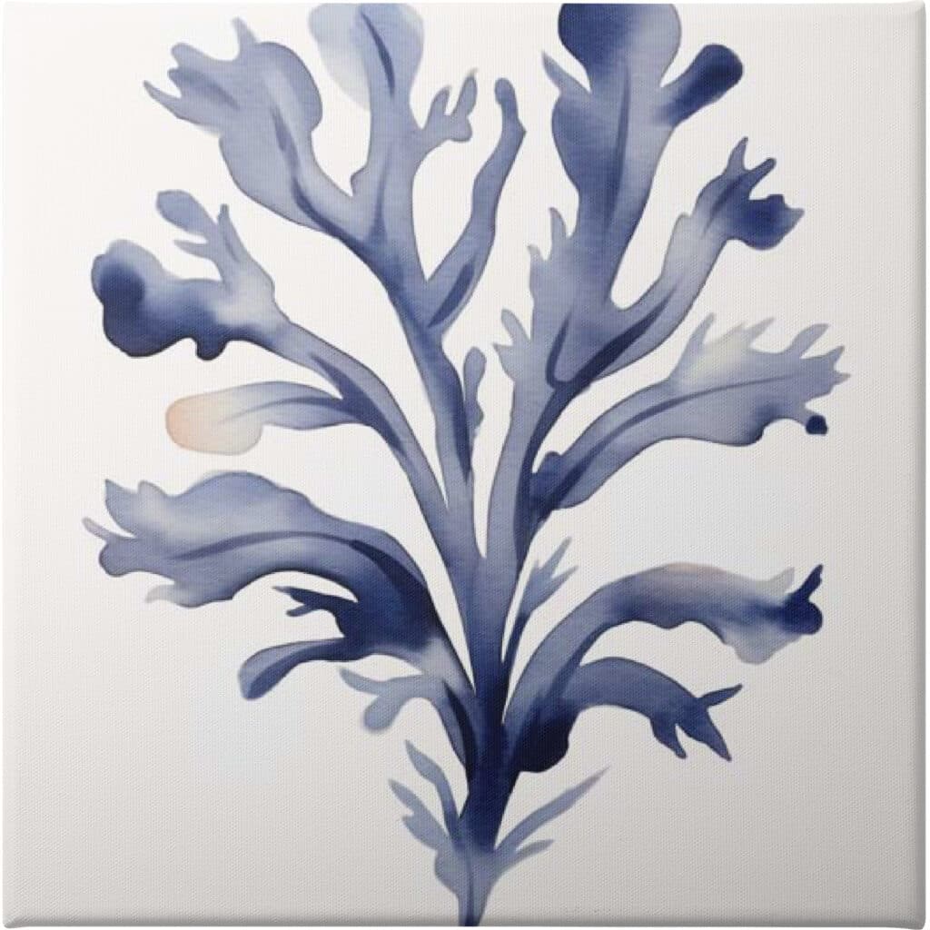 Ocean Blooms IV - Unframed Canvas - La Grolla