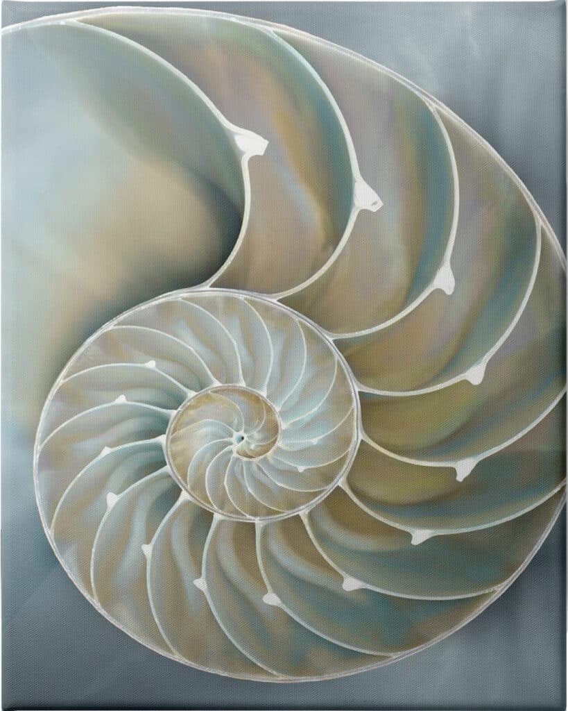 Nautilus in Blue II - Unframed Canvas - La Grolla