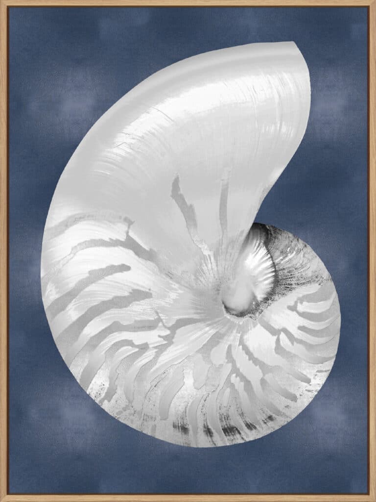 Silver Shell on Indigo Blue II - Canvas - La Grolla