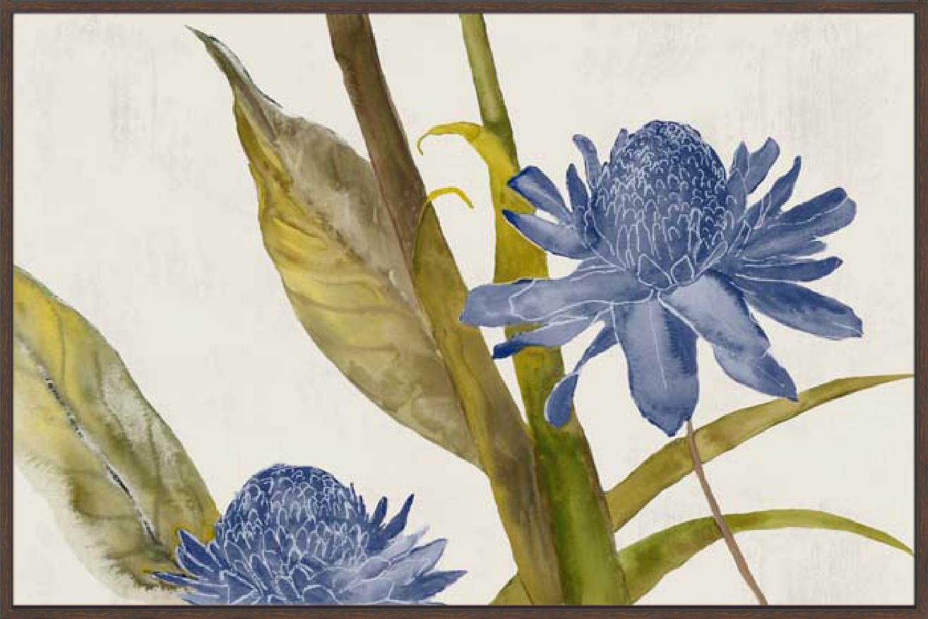 Blue Ginger - Canvas - La Grolla