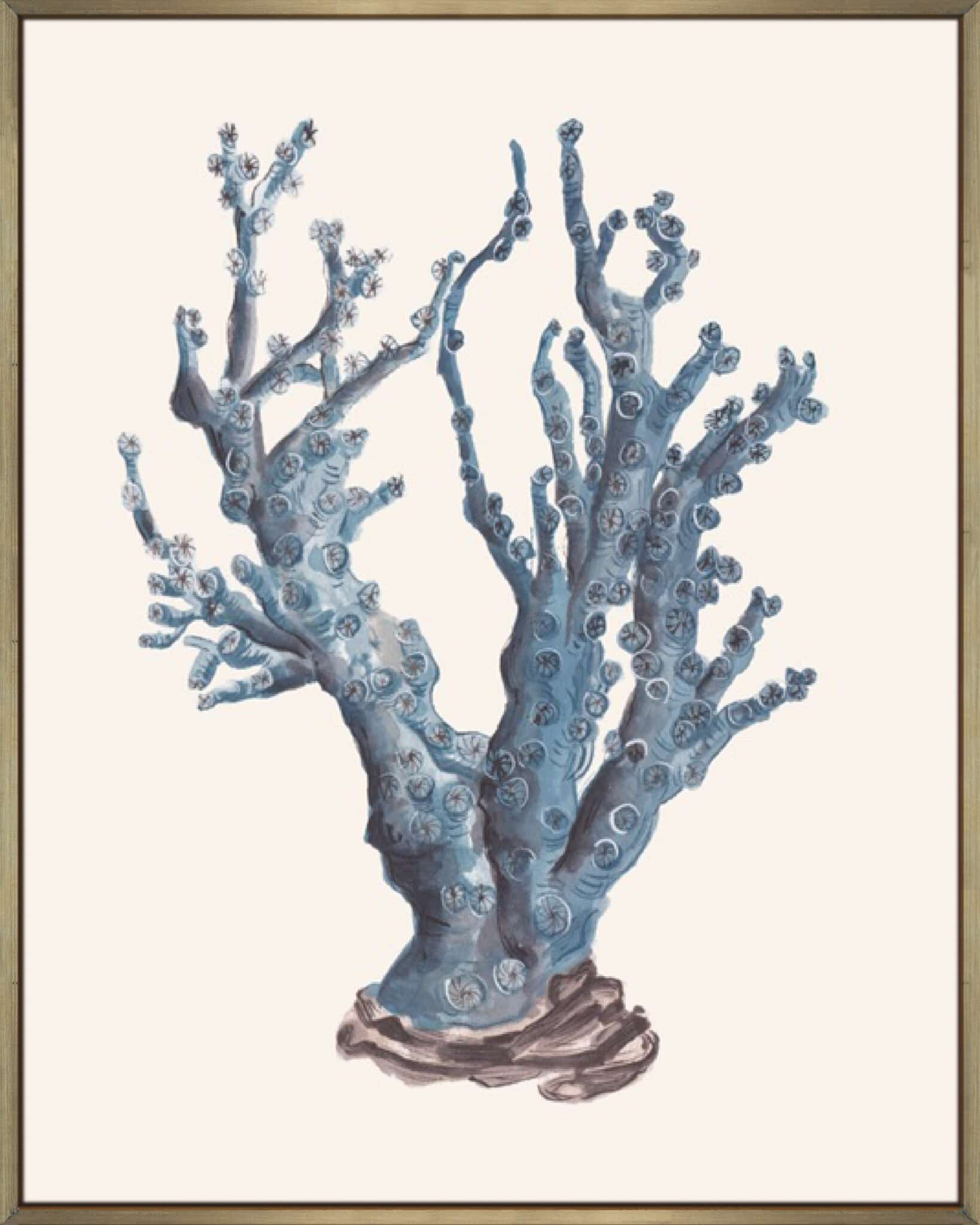 Indigo Reef I - Canvas - La Grolla