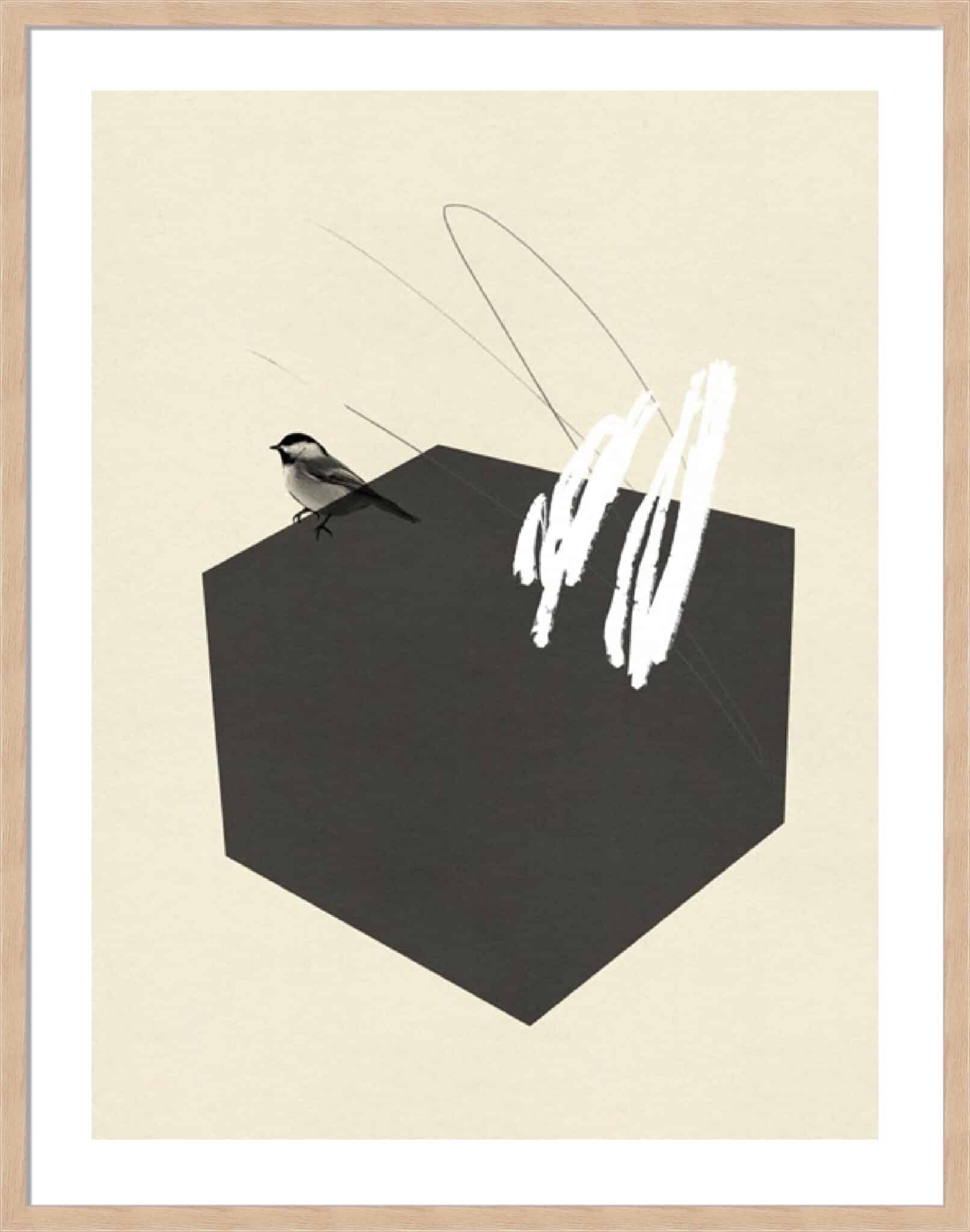 Steel Sequin with Bird II - 5cm White Border - La Grolla