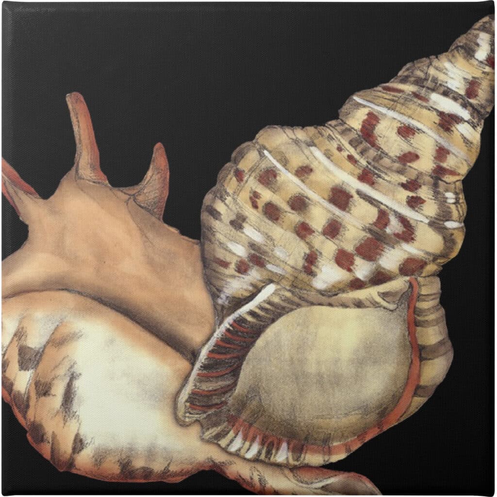 Tandem Shells II - Unframed Canvas - La Grolla